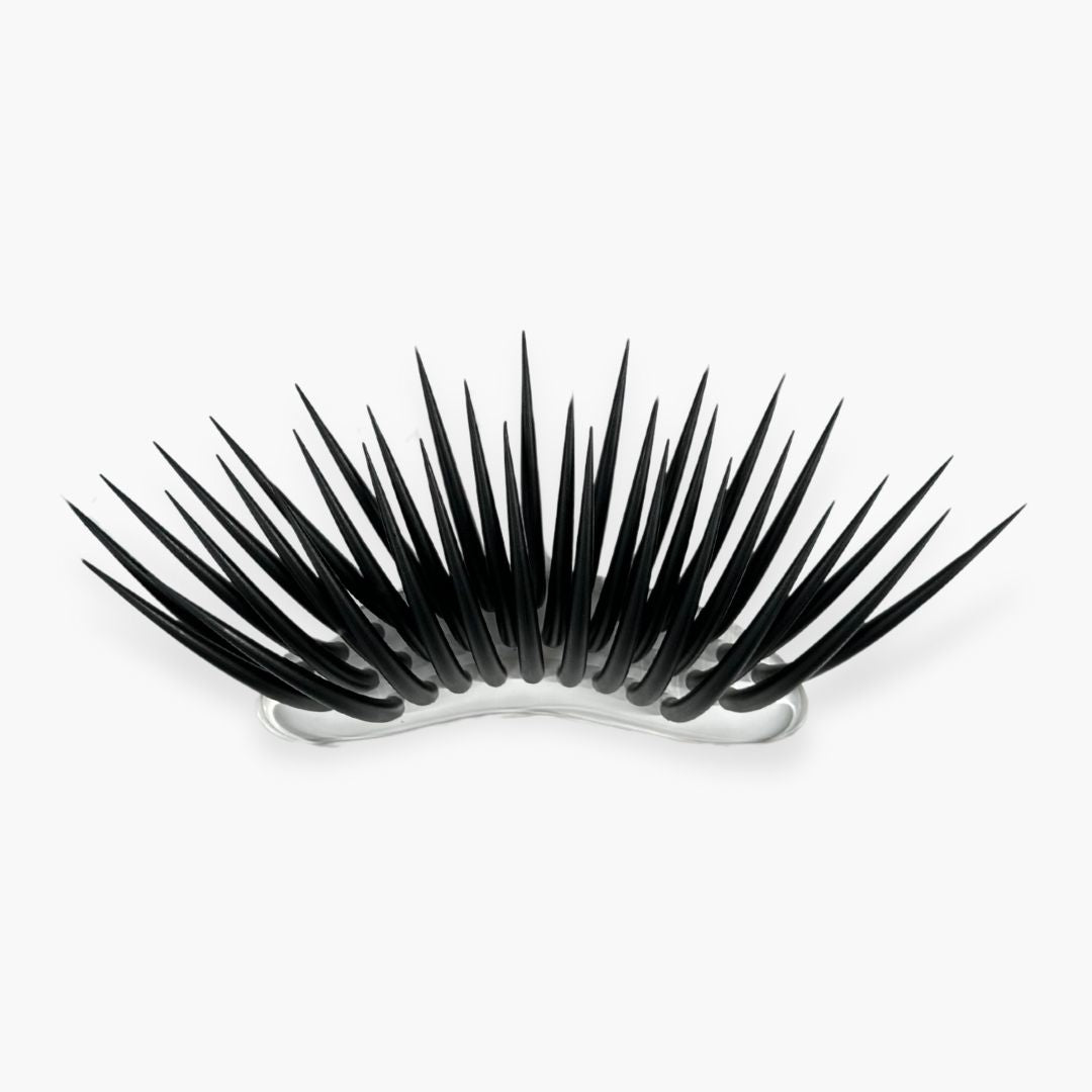 Lash Extension and Lash Lift Training and Supplies - THE LASH SHOP ...
